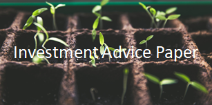 Investment Advice Paper